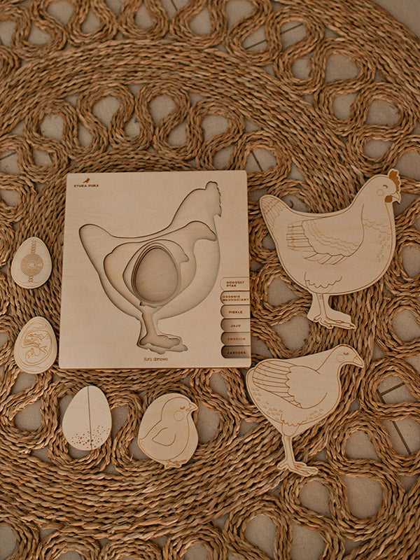 Chicken or the Egg – The Modern Playroom