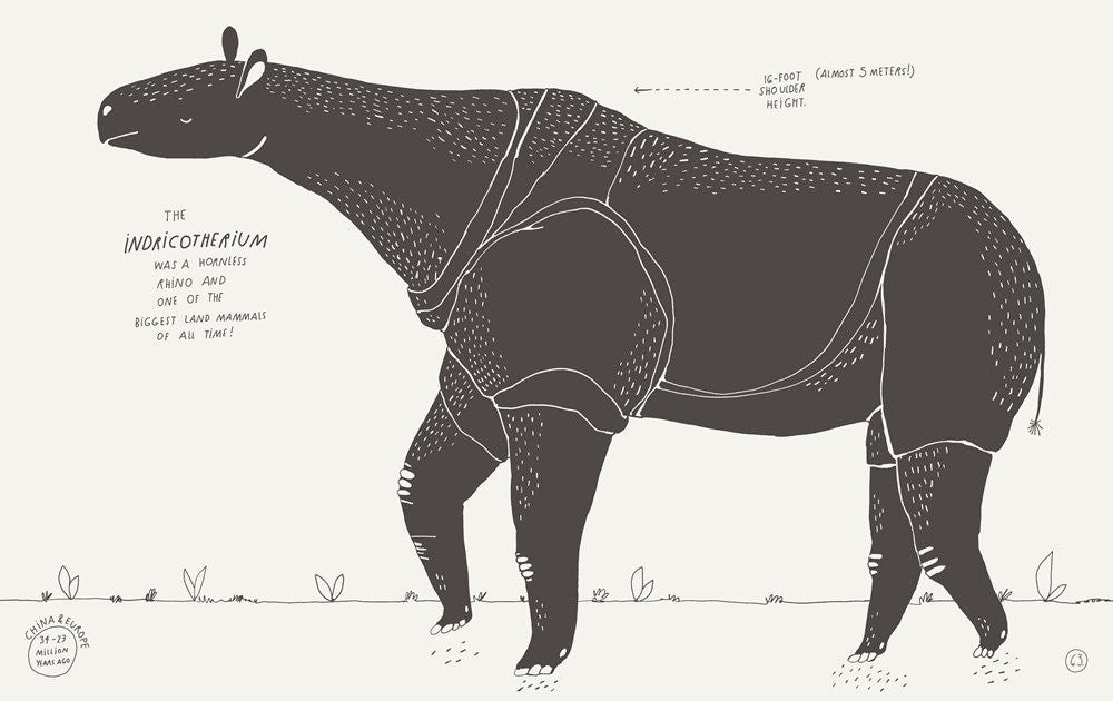 Animals Of A Bygone Era: An Illustrated Compendium – The Modern Playroom